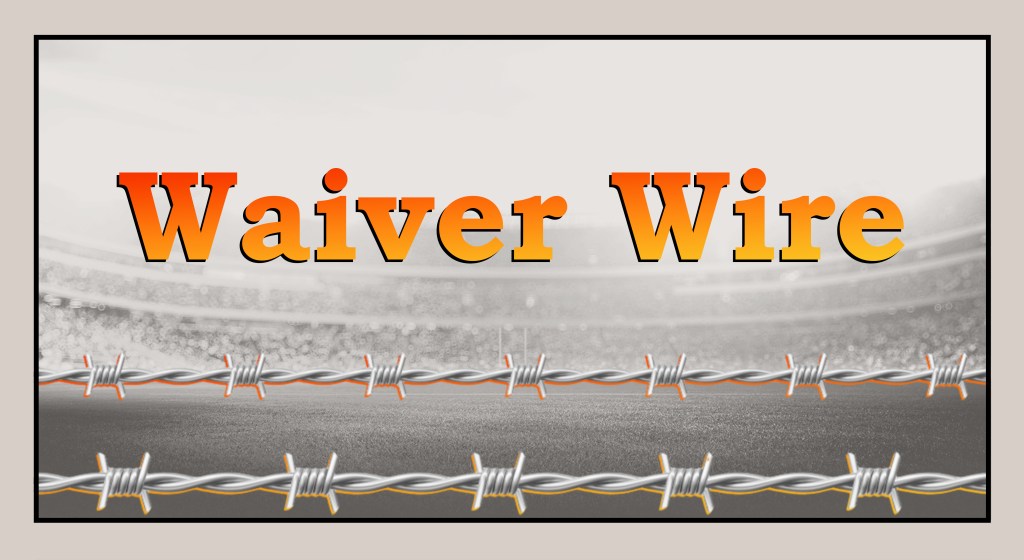 Waiver Wire Report : the Fantasy Fellowship